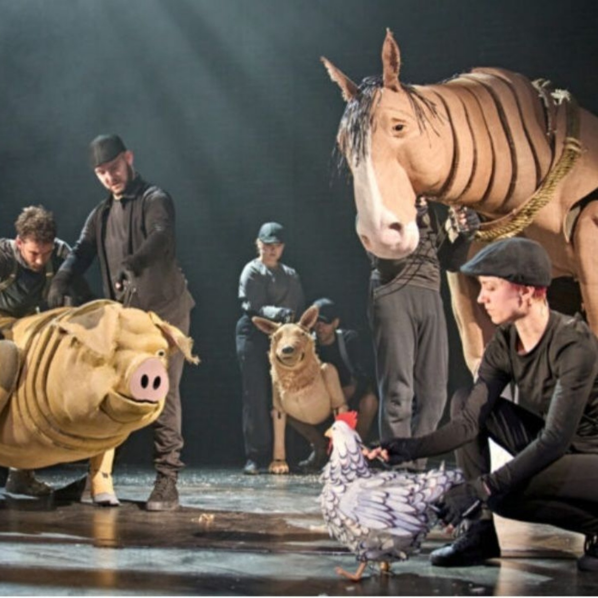 Severn Vale School - Animal Farm Theatre Trip